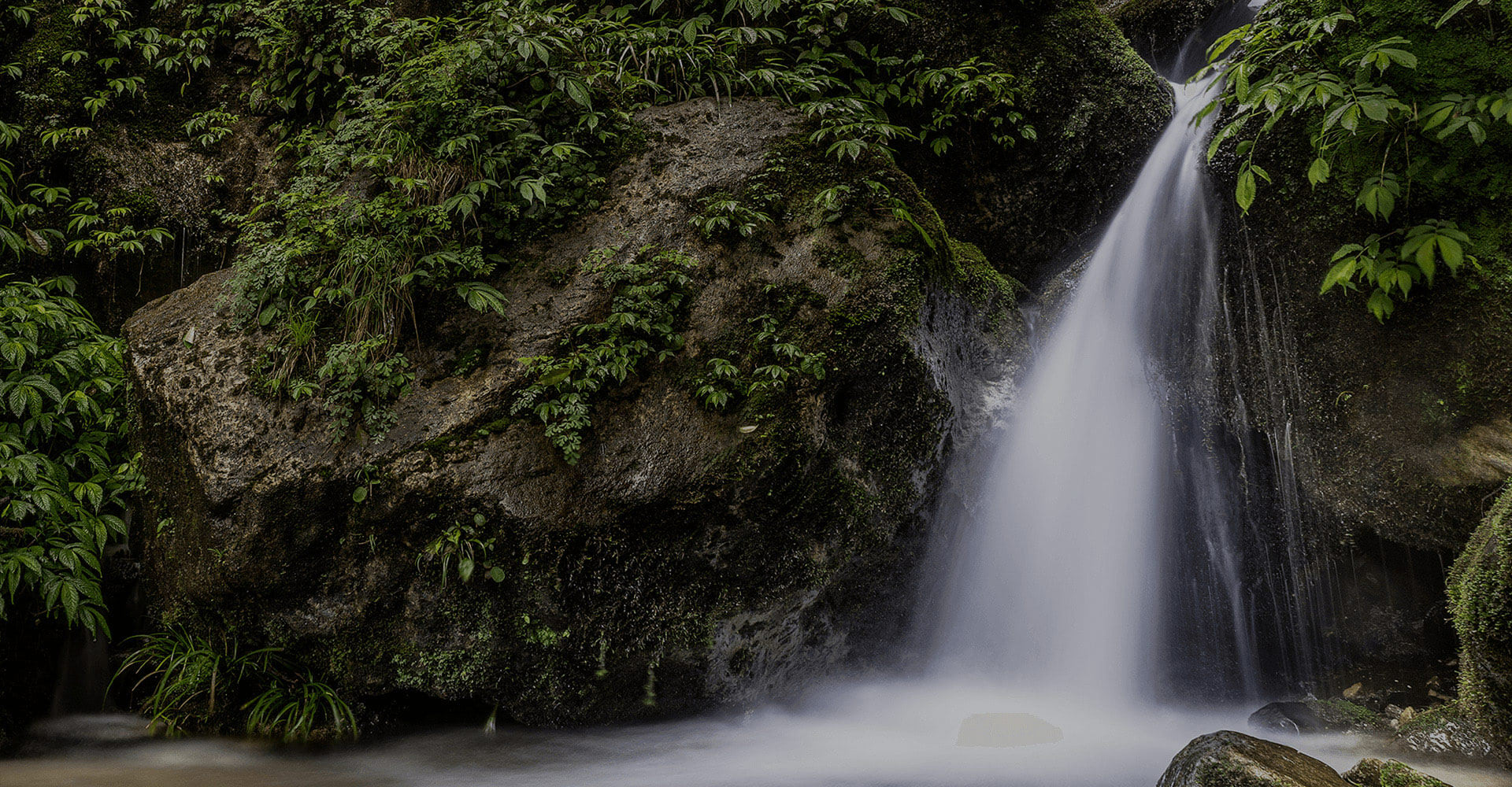 Nongfu Spring,nongfuspring,nongfushanquan